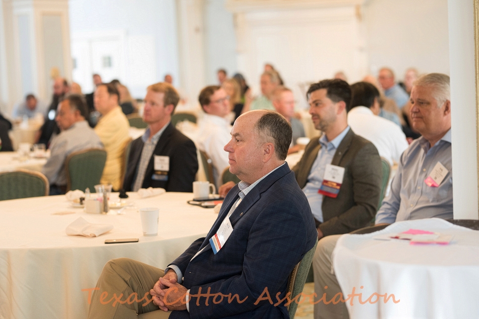Texas Cotton Association 2022